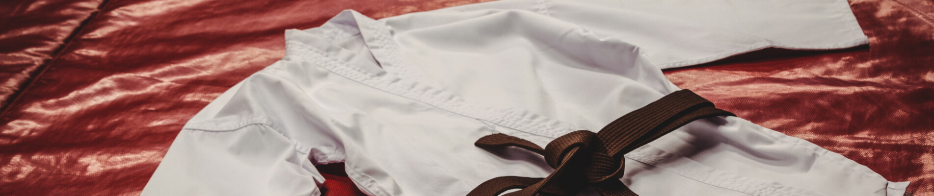 Get to know: Judo Competitor and Crystal Lake Native Sarah Chung ...